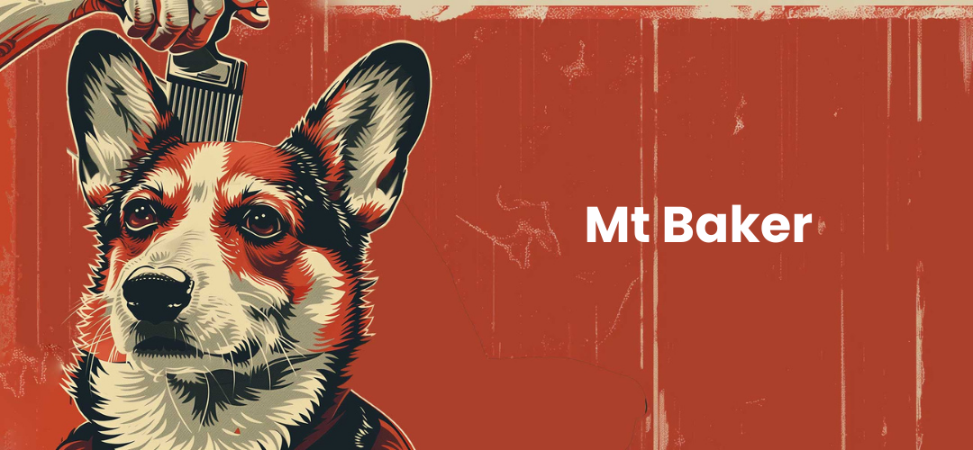 DogCity: Expert Dog Grooming in Mt. Baker, Seattle